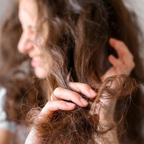 "How to Treat your Frizzy-Dry hair? A guide to turn your days to Good ...